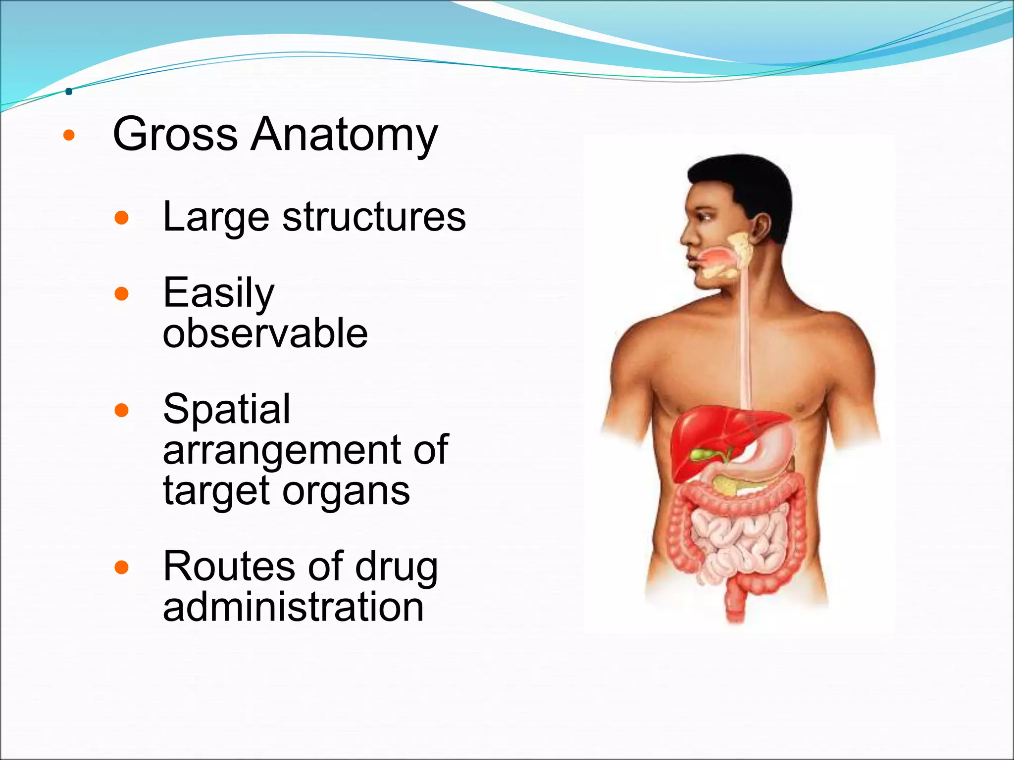 Introduction to Human Anatomy.ppt
