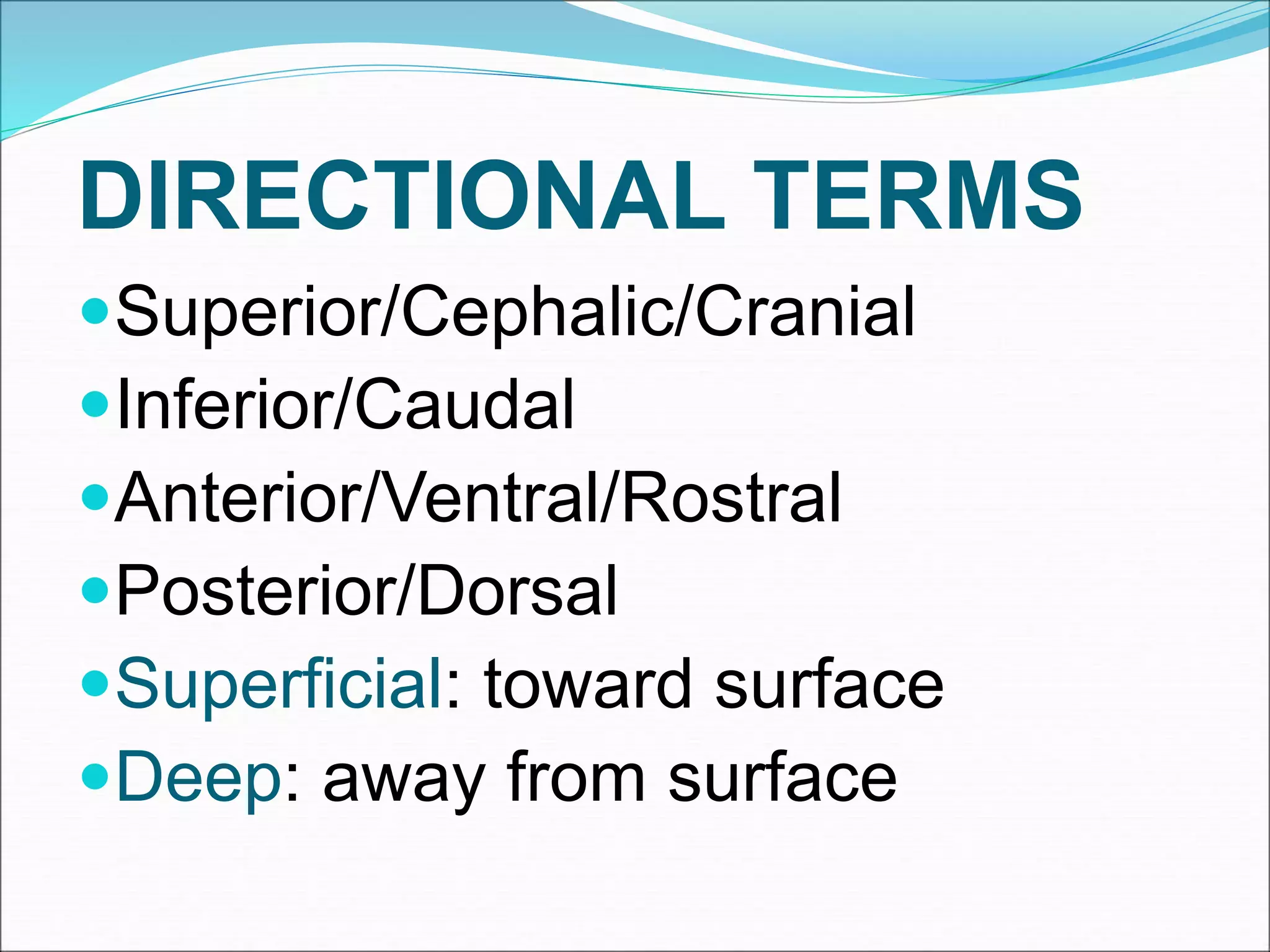 Introduction to Human Anatomy.ppt