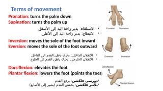Introductilkk;lk;lon to human anatomy 2.pptx