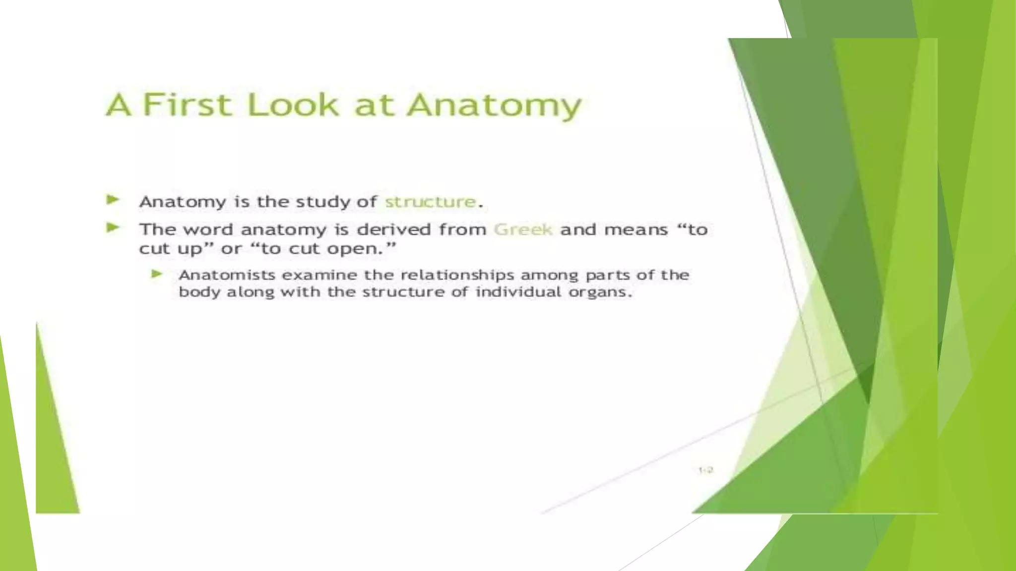 Introduction to human anatomy and physiology | PPTX