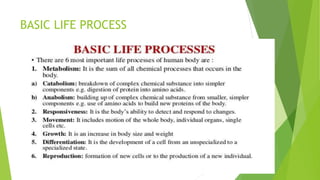 Introduction to human anatomy and physiology | PPTX