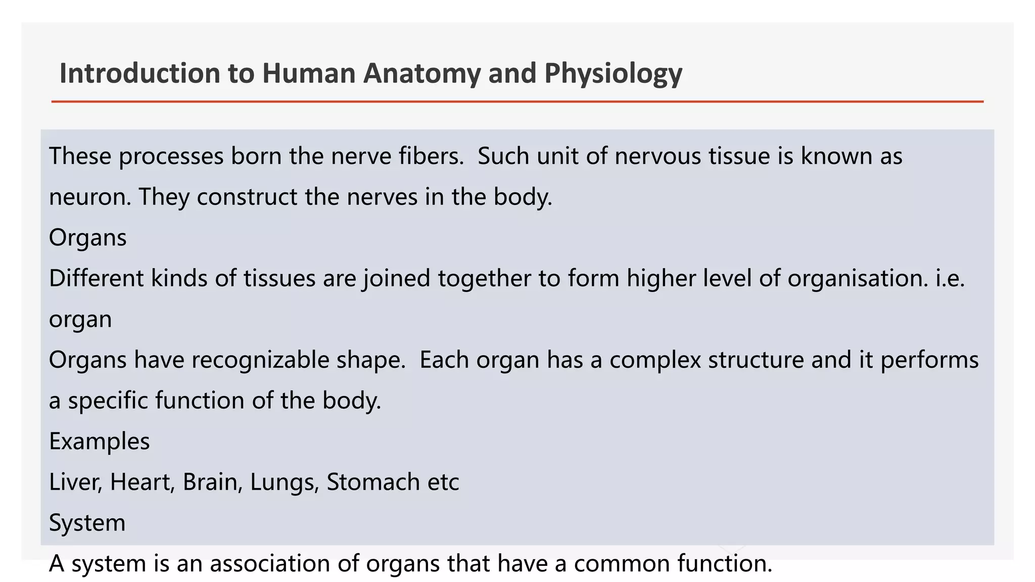 Introduction to Human Anatomy and Physiology | PPT