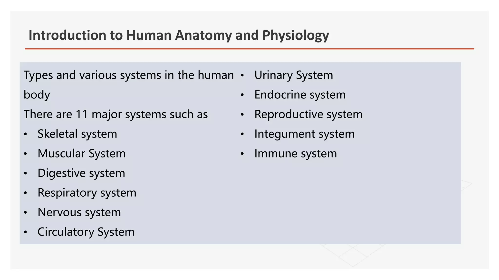 Introduction to Human Anatomy and Physiology | PPTX