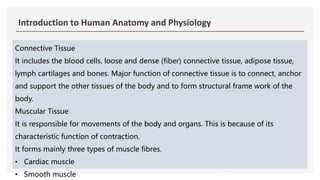 Introduction to Human Anatomy and Physiology | PPTX