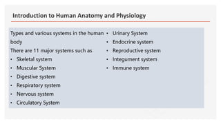 Introduction to Human Anatomy and Physiology | PPT