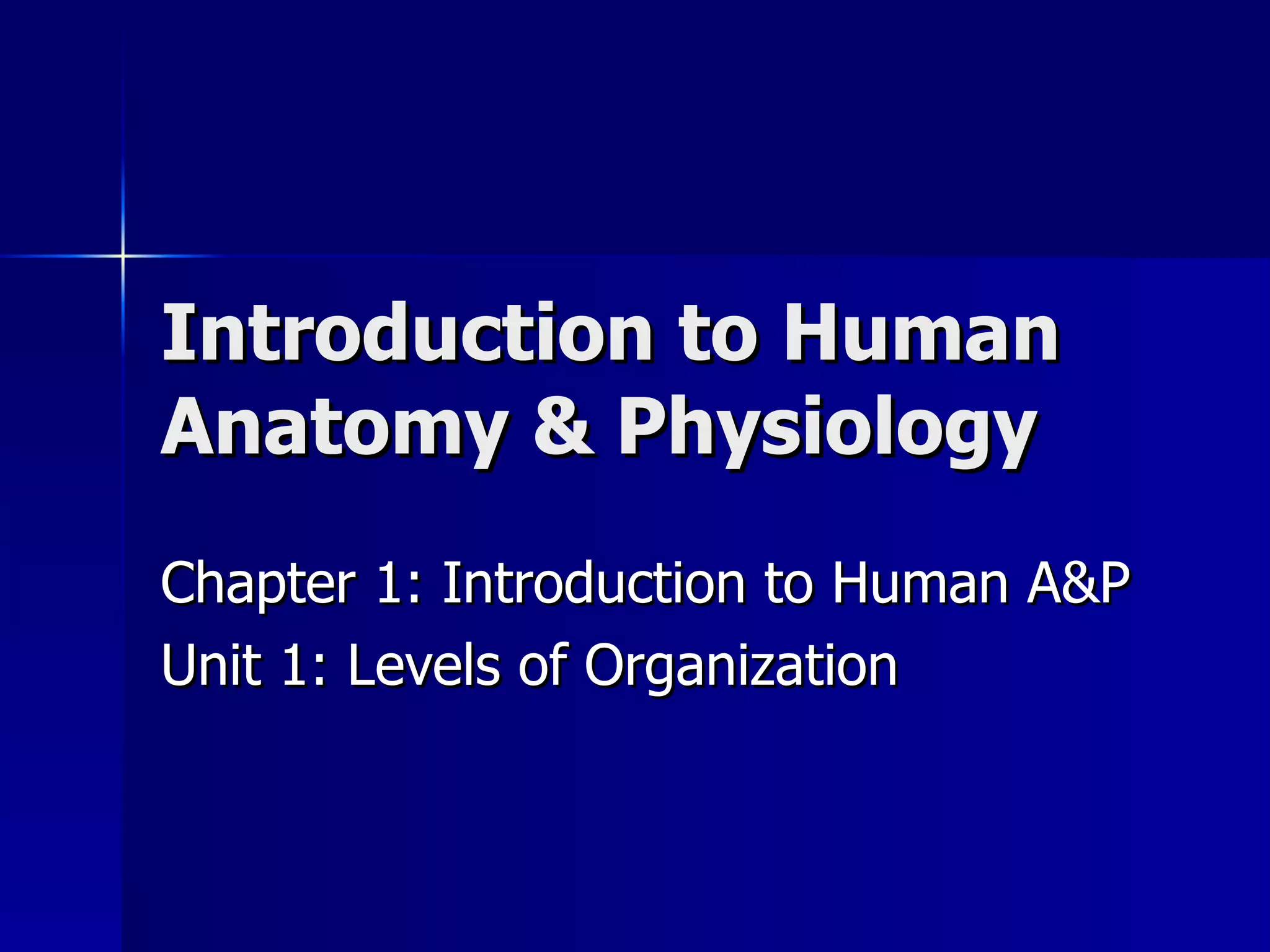 Introduction to Human A&P | PPT