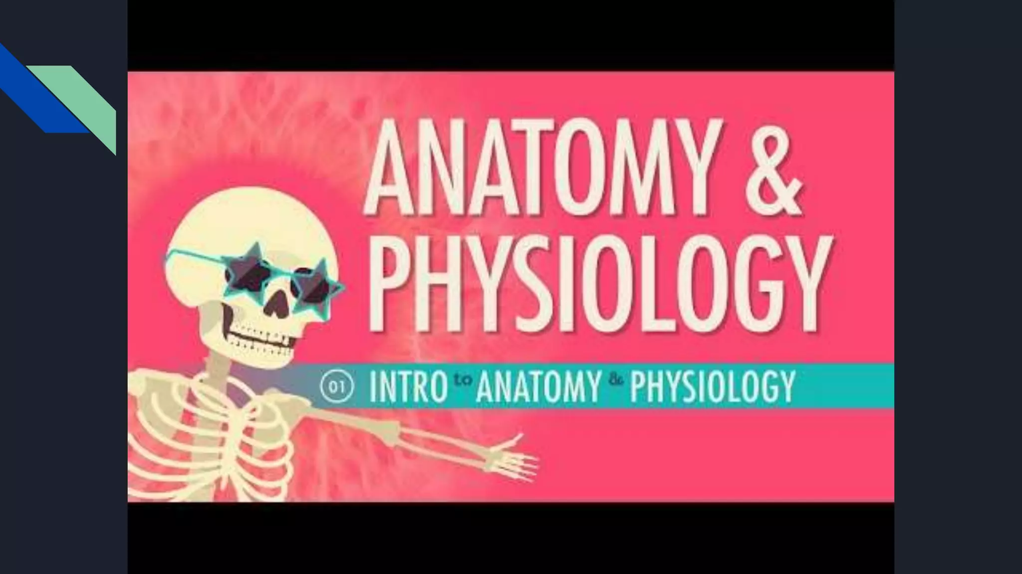 Introduction to Human Anatomy & Physiology | PPTX | Lung and ...