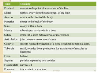 Introduction to Human Anatomy & Physiology | PPTX | Lung and ...