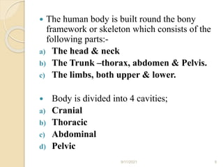Introduction to Human Anatomy & Physiology | PPTX | Lung and ...