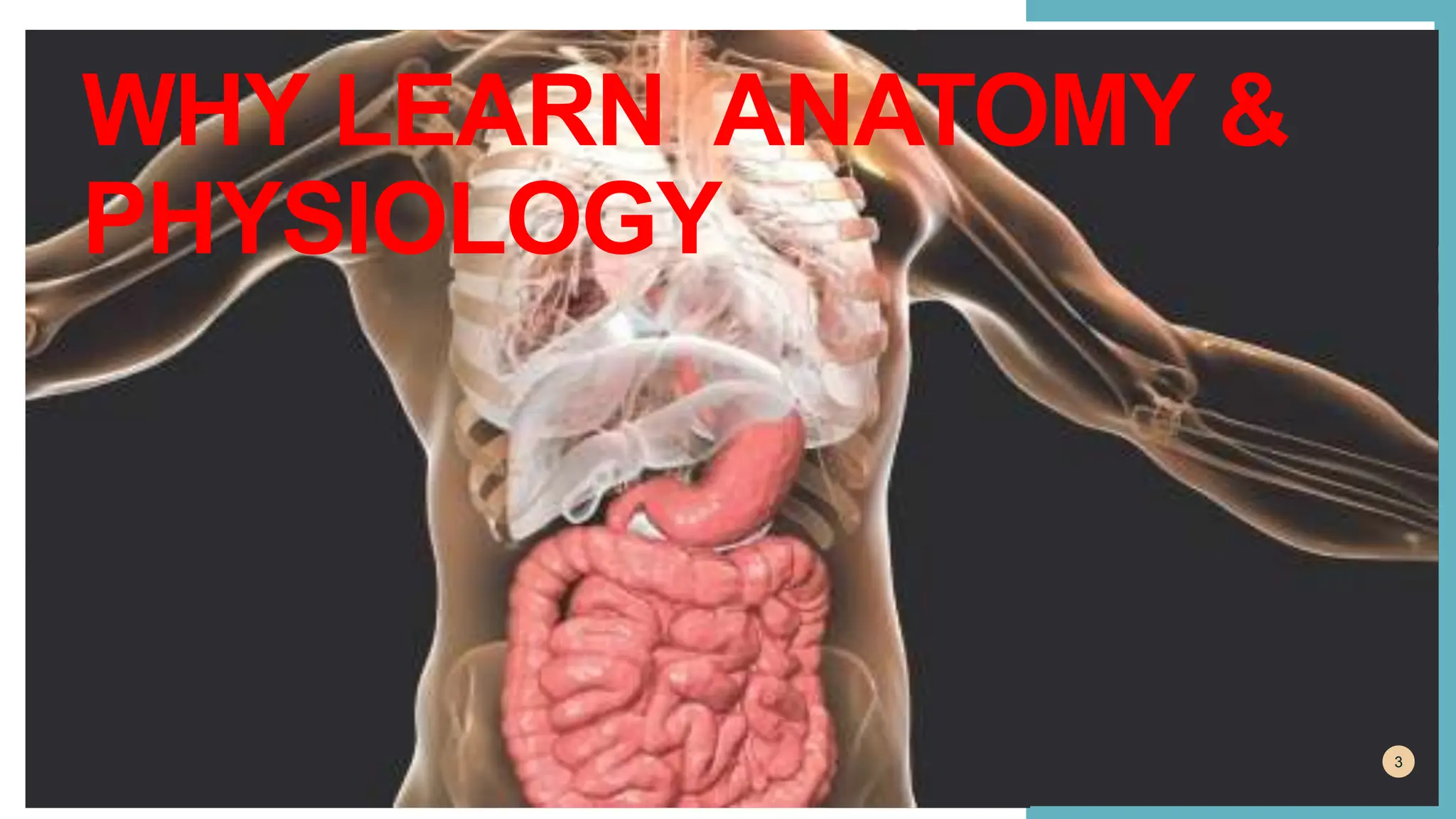 INTRODUCTION TO HUMAN ANATOMY & PHYSIOLOGY.pptx