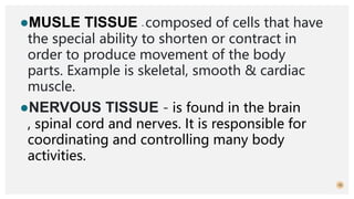 INTRODUCTION TO HUMAN ANATOMY & PHYSIOLOGY.pptx