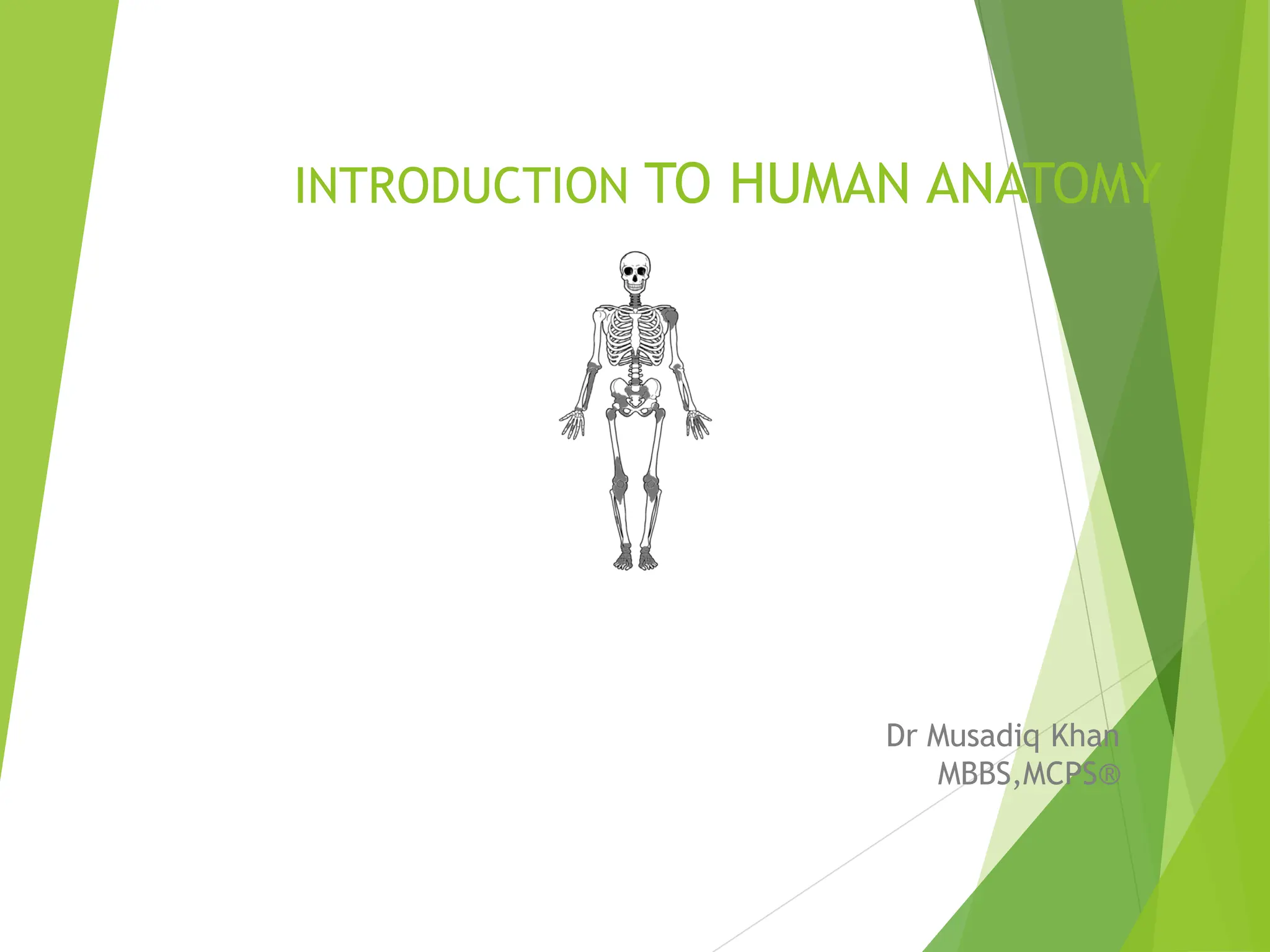 INTRODUCTION TO HUMAN ANATOMY.pdf