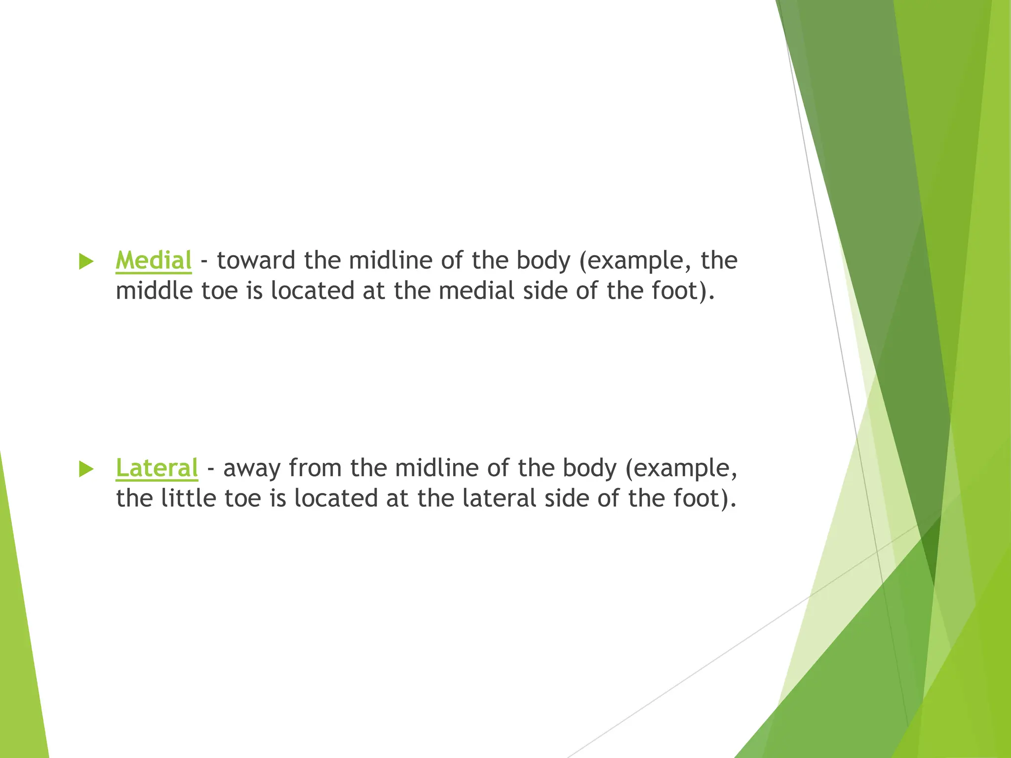 INTRODUCTION TO HUMAN ANATOMY.pdf