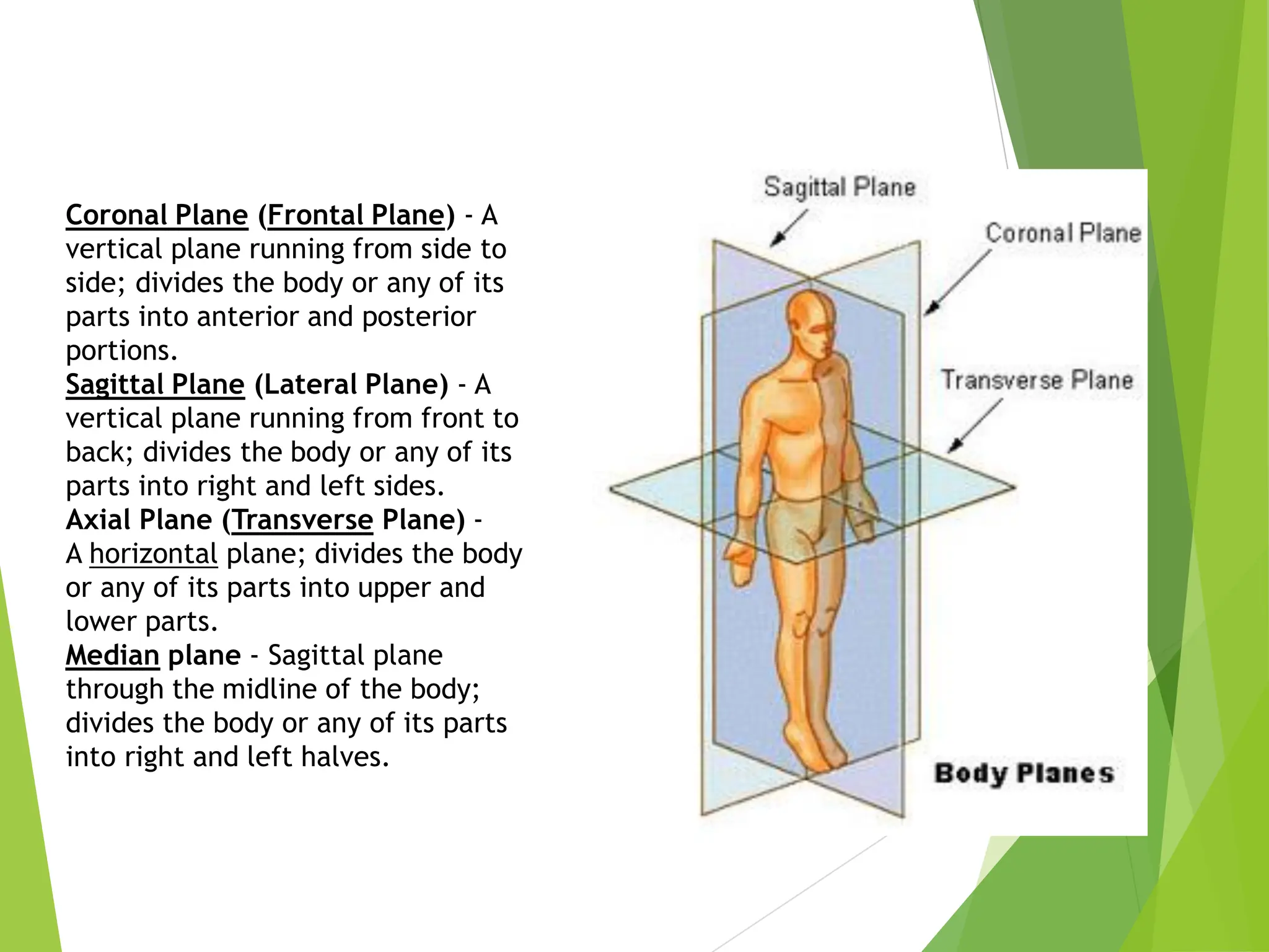 INTRODUCTION TO HUMAN ANATOMY.pdf