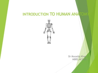INTRODUCTION TO HUMAN ANATOMY.pdf