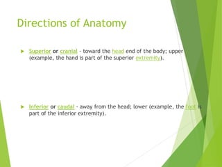 INTRODUCTION TO HUMAN ANATOMY.pdf