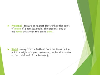 INTRODUCTION TO HUMAN ANATOMY.pdf