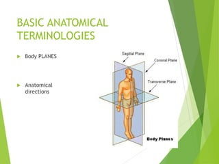 INTRODUCTION TO HUMAN ANATOMY.pdf