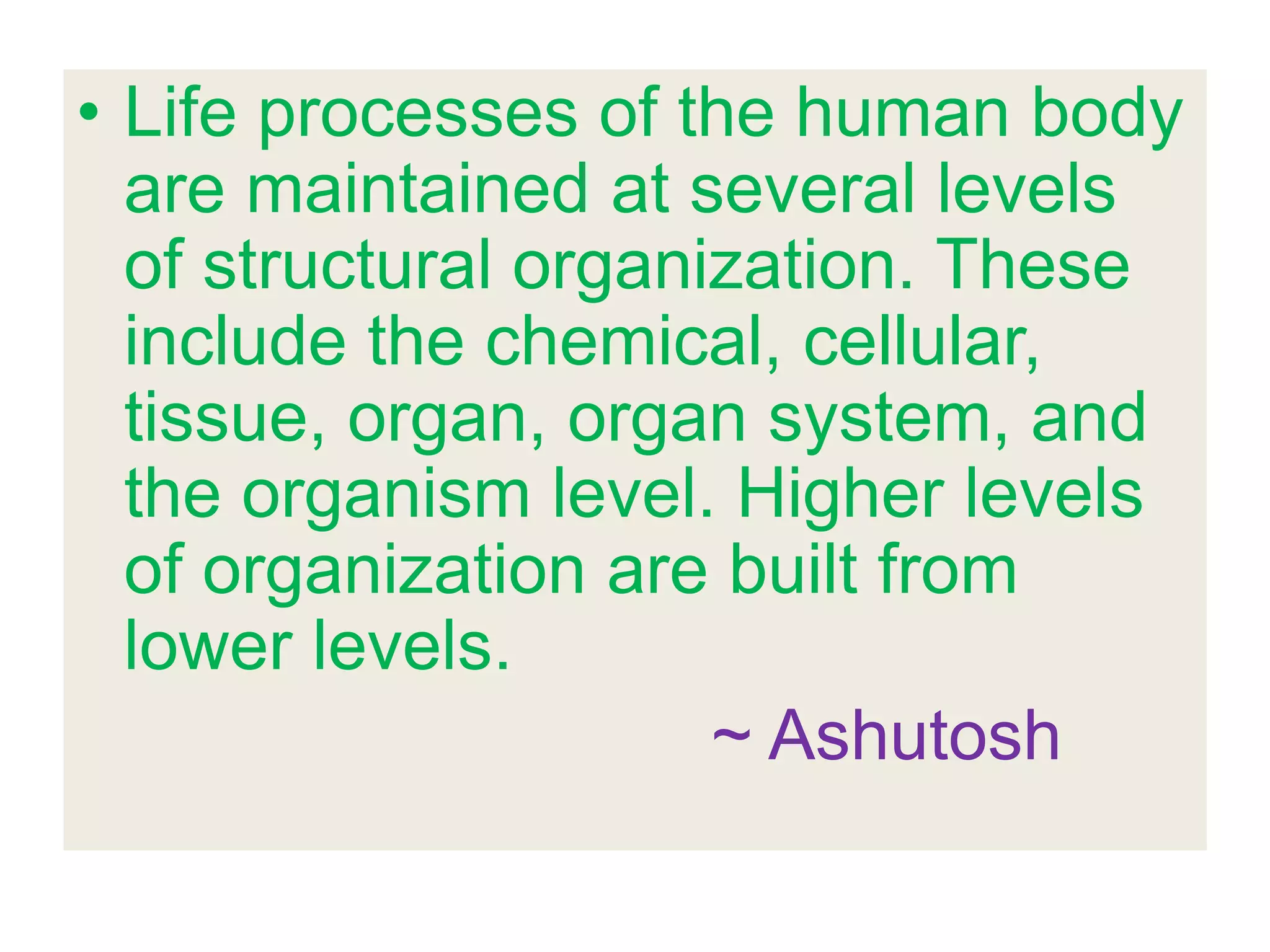 Introduction to human body Definition and scope of anatomy and ...