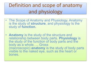 Introduction to human body Definition and scope of anatomy and ...