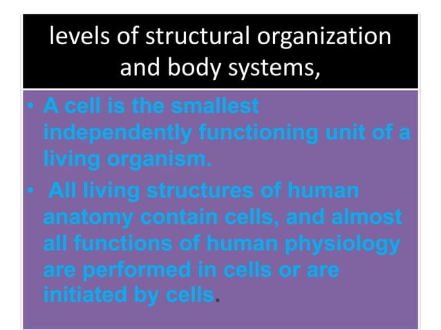 Introduction to human body Definition and scope of anatomy and ...