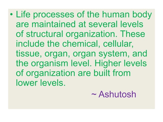 Introduction to human body Definition and scope of anatomy and ...