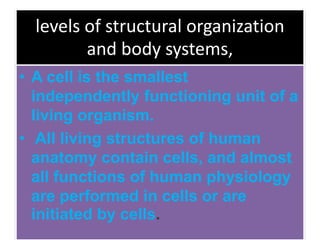 Human Body Systems Definitions