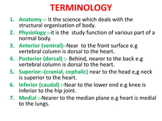 Introduction to human body | PPTX