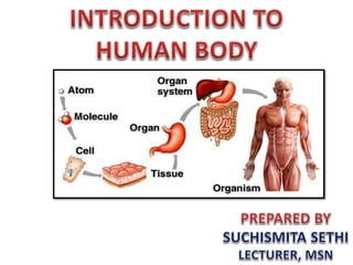 Introduction to human body | PPT