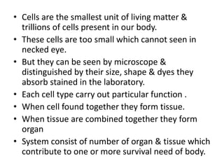 Introduction to human body | PPTX