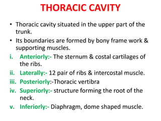 Introduction to human body | PPTX