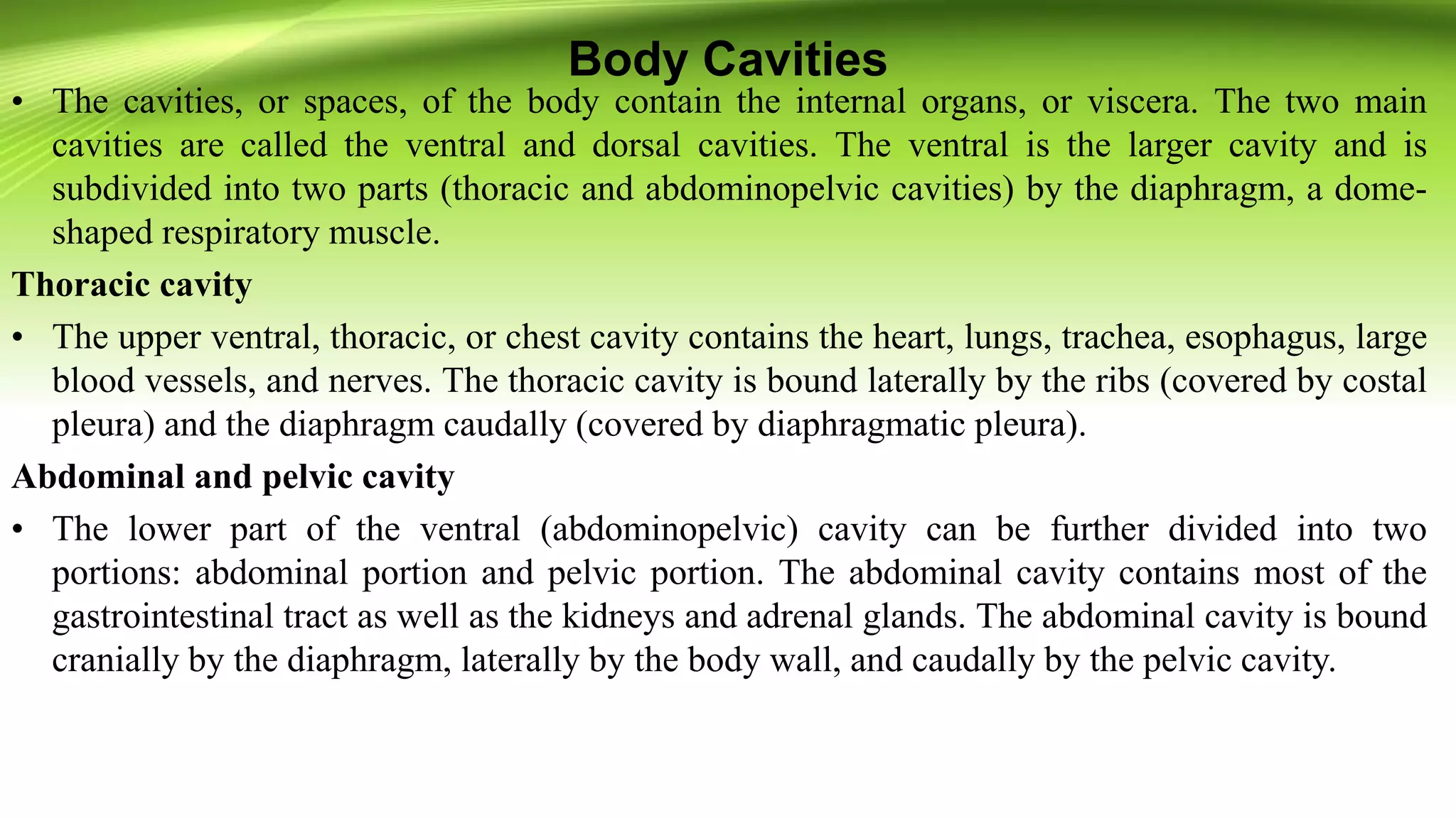 Introduction to human body | PPTX