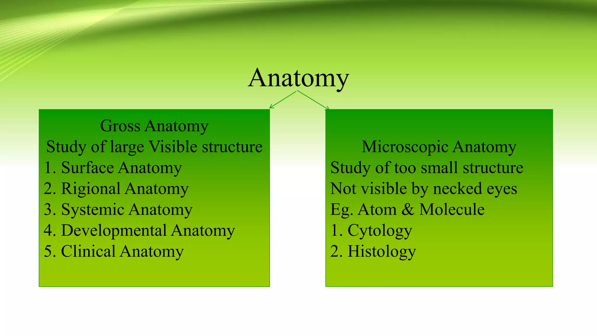 Introduction to human body | PPTX
