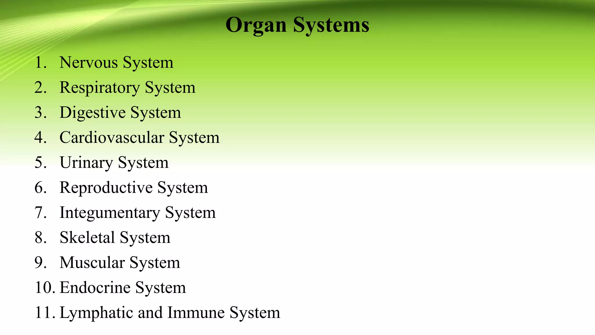 Introduction to human body | PPTX