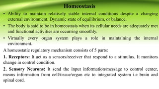 Introduction to human body | PPTX | Brain and Nervous System Disorders ...