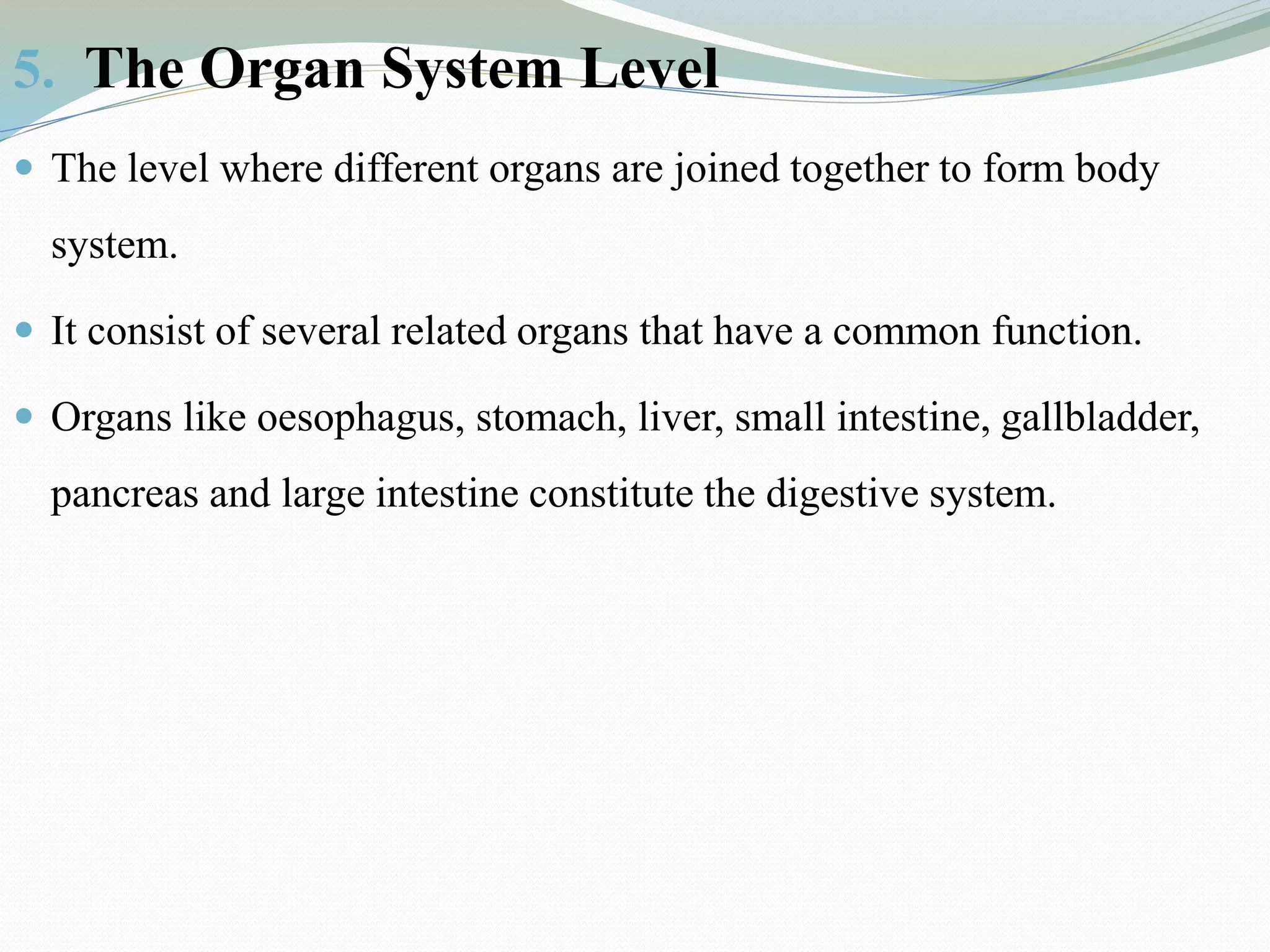 Introduction to Human Body.pptx | Endocrine and Metabolic Diseases ...