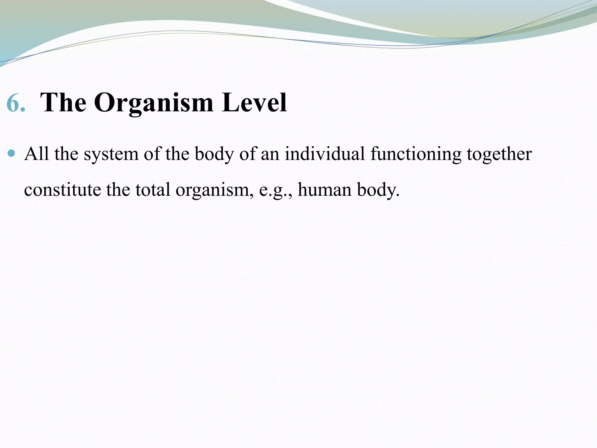 Introduction to Human Body.pptx