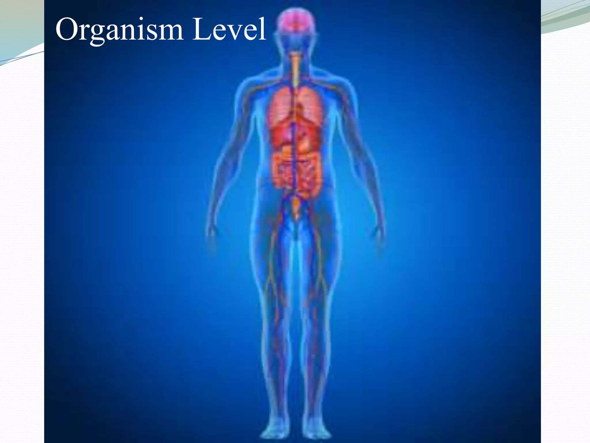 Introduction to Human Body.pptx