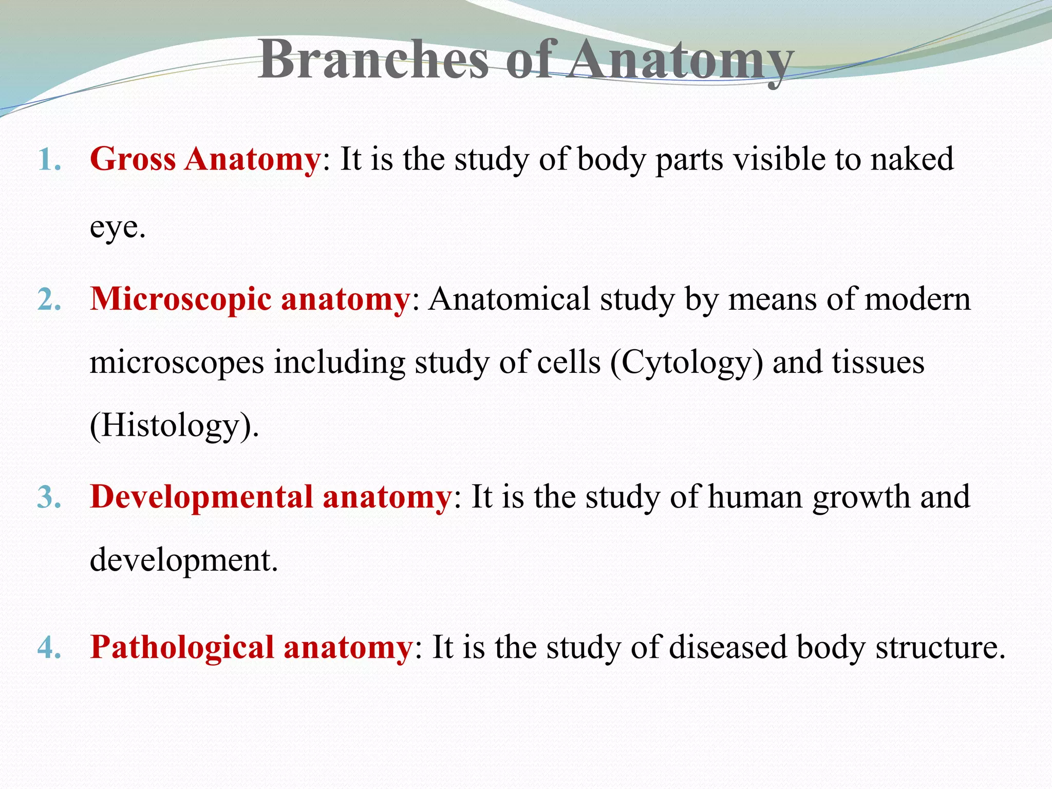 Introduction to Human Body.pptx