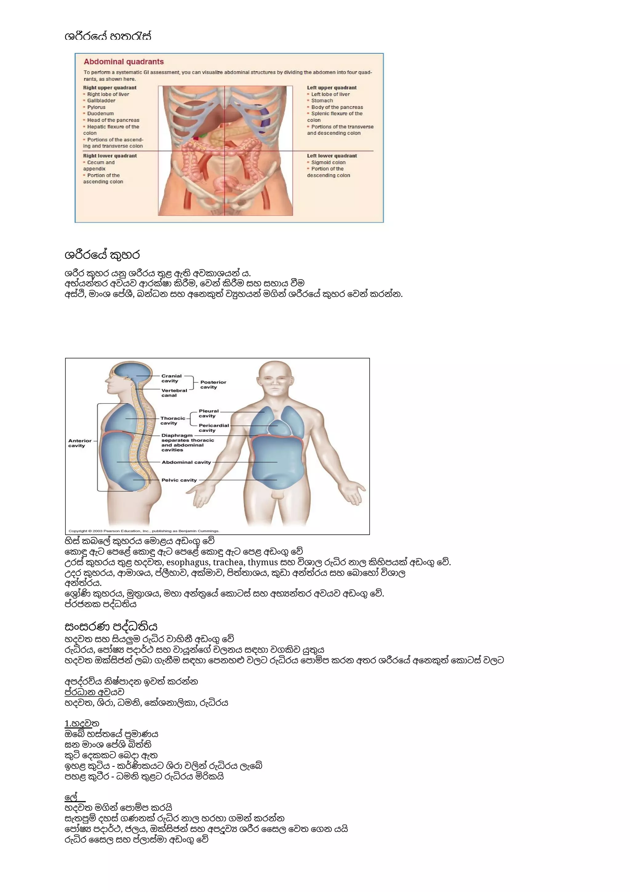 introduction to human body.pdf