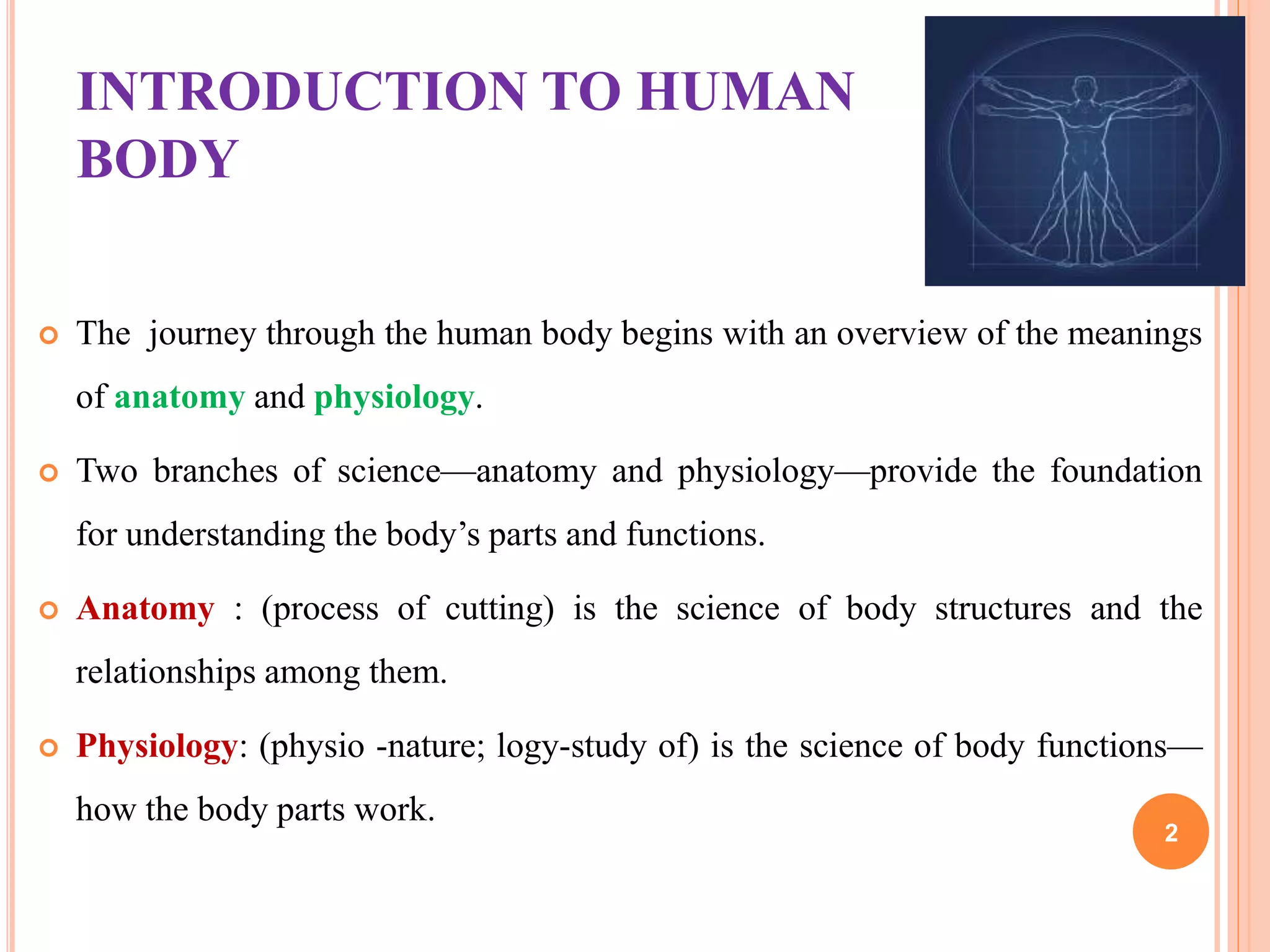 INTRODUCTION TO HUMAN BODY.pptx