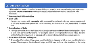 Introduction to Human Body for First Year B. Pharm | PPTX