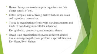 The human body is a complex, organized structure made up of various ...