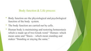 The human body is a complex, organized structure made up of various ...