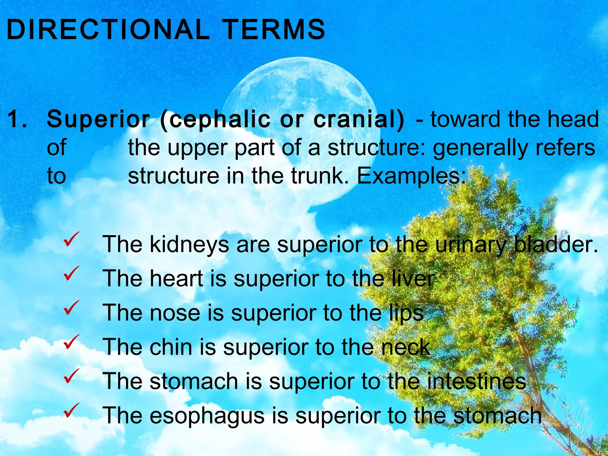 Introduction to human body | PPT