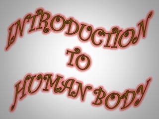 Introduction to human body | PPT