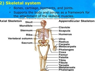 Introduction to human body | PPT