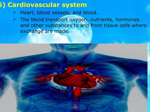 Introduction to human body | PPT
