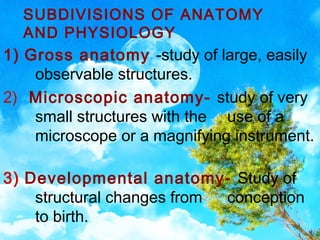 Introduction to human body | PPT