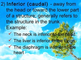 Introduction to human body | PPT